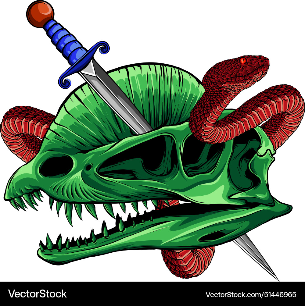 Skull of dilophosaurus dinosaur Royalty Free Vector Image