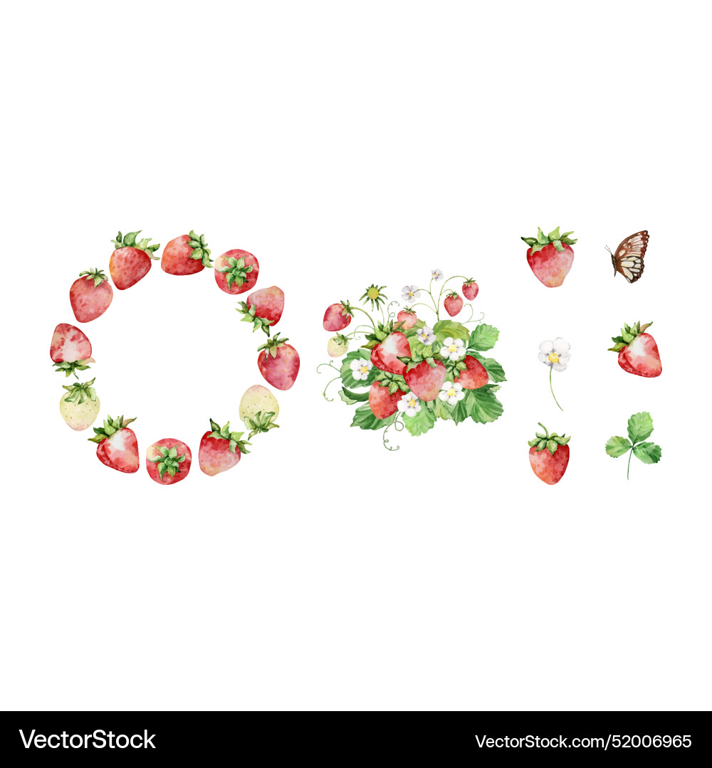 Watercolor strawberry set wit wreath berry Vector Image