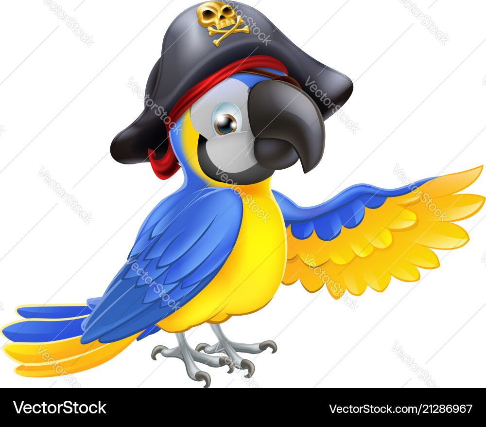Cartoon Pirate Parrot Royalty Free Vector Image