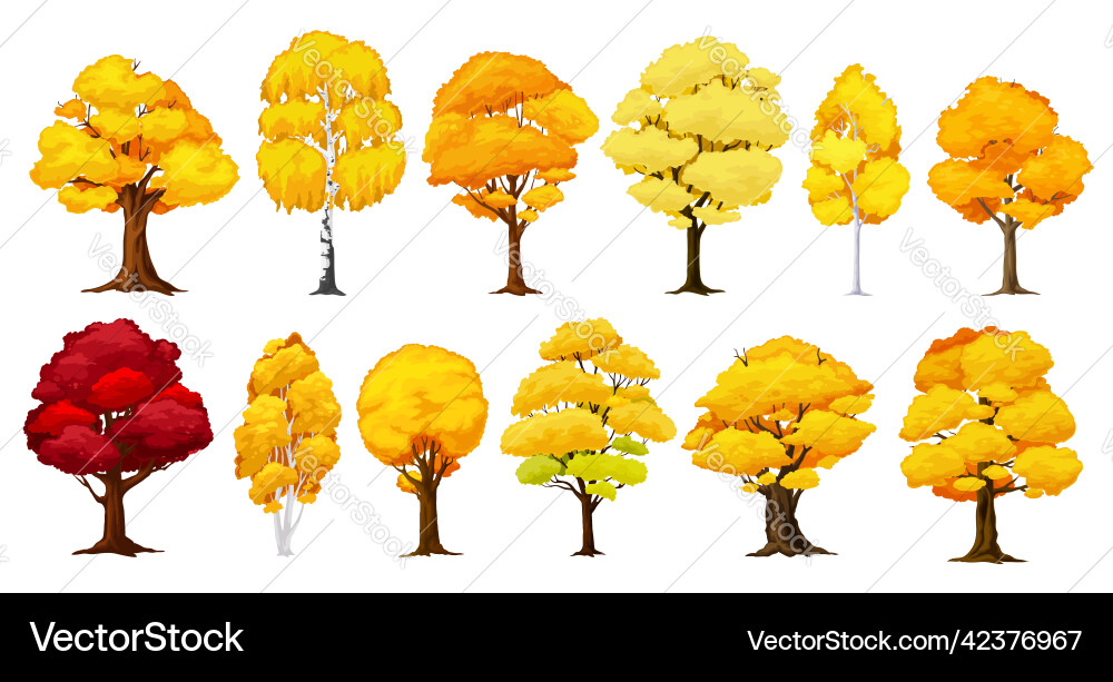 Colorful Autumn Tree Royalty Free Vector Image