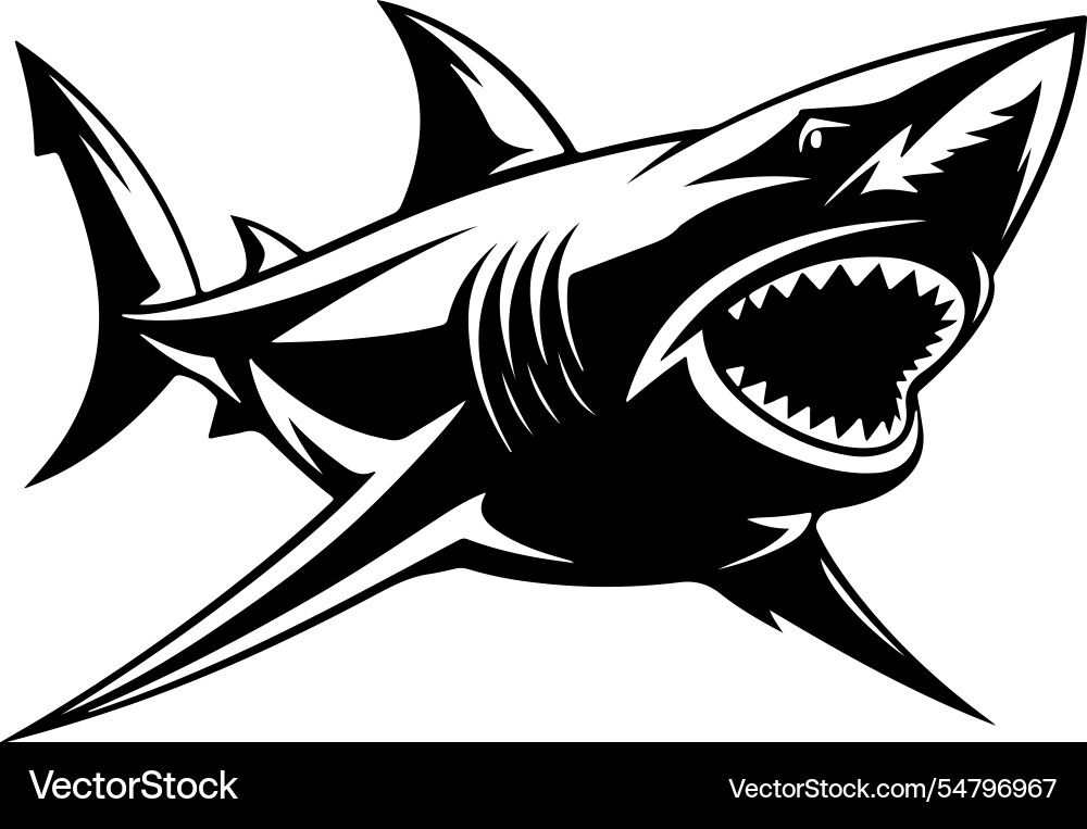 Ocean shark design Royalty Free Vector Image - VectorStock
