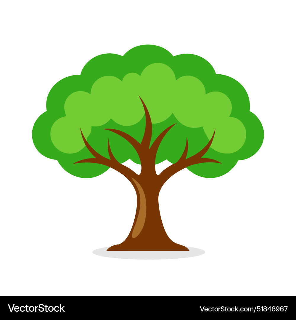 Pin cherry prunus pensylvanica tree nature flat Vector Image