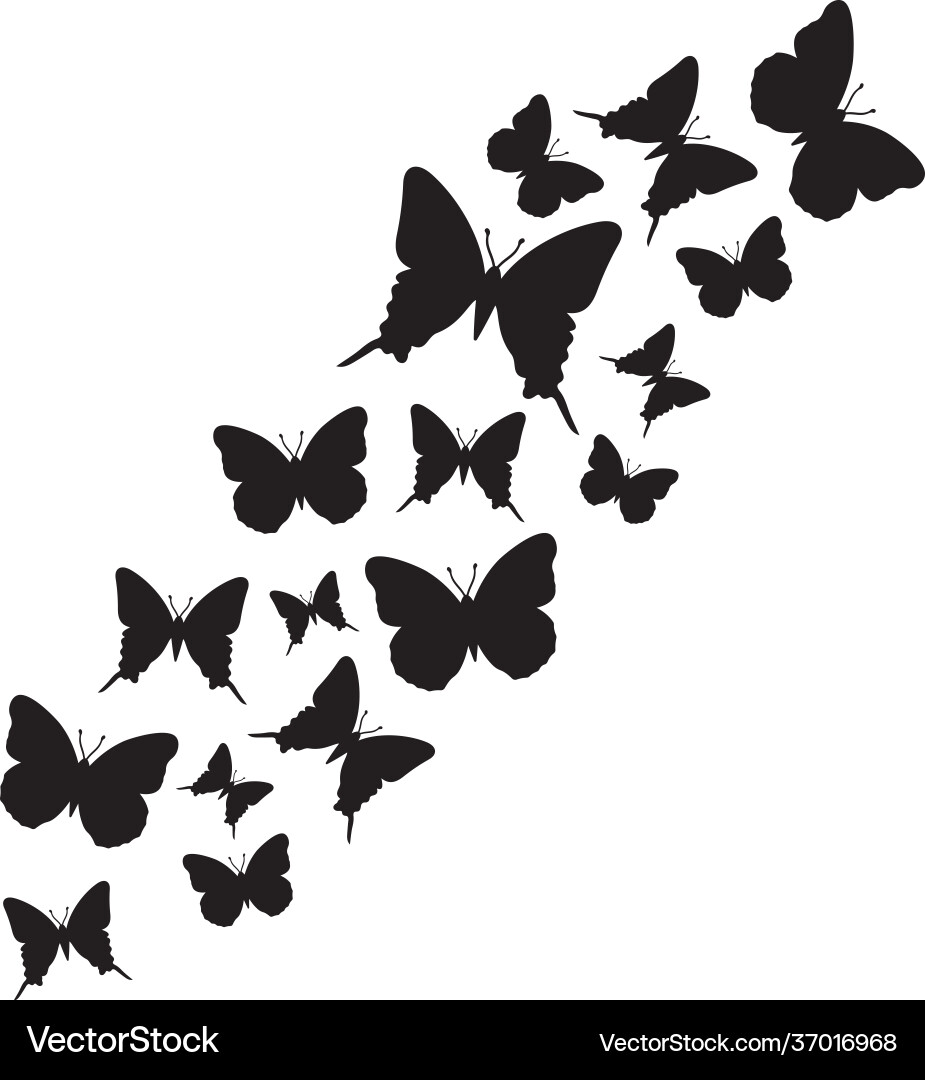 Butterfly fly Royalty Free Vector Image - VectorStock
