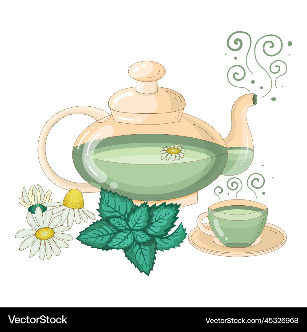 Herbal mint tea kettle with camomile Royalty Free Vector