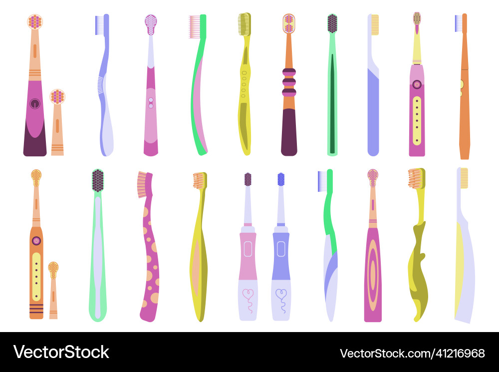 Toothbrushes concept collection in flat cartoon Vector Image