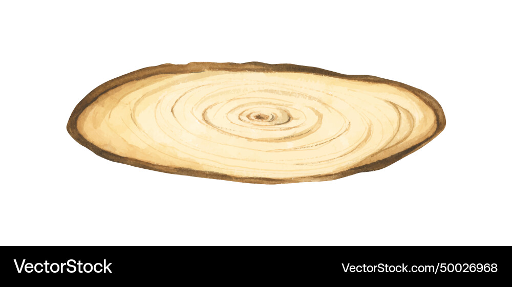 Watercolor Tree Slice Royalty Free Vector Image