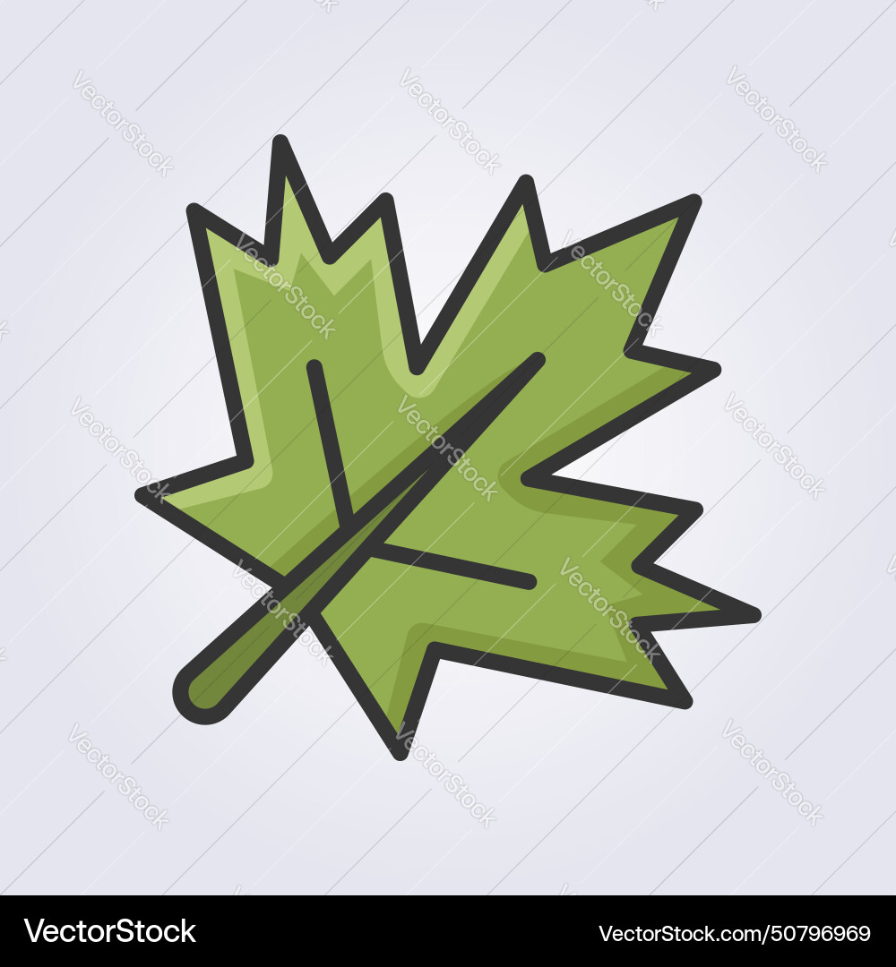 Colored line art maple lead icon logo design Vector Image