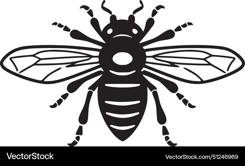 Fly - black and white isolated icon Royalty Free Vector