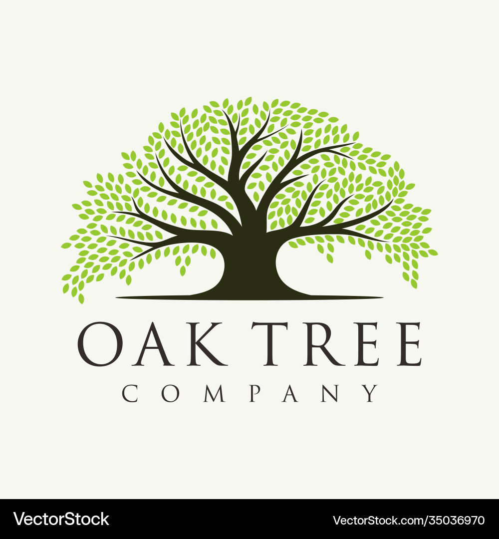 Oak banyan tree logo design life Royalty Free Vector Image