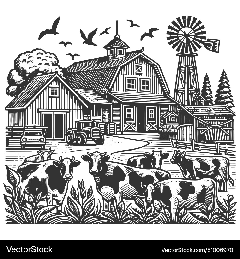 Rustic farm engraving with cattle and barn Vector Image