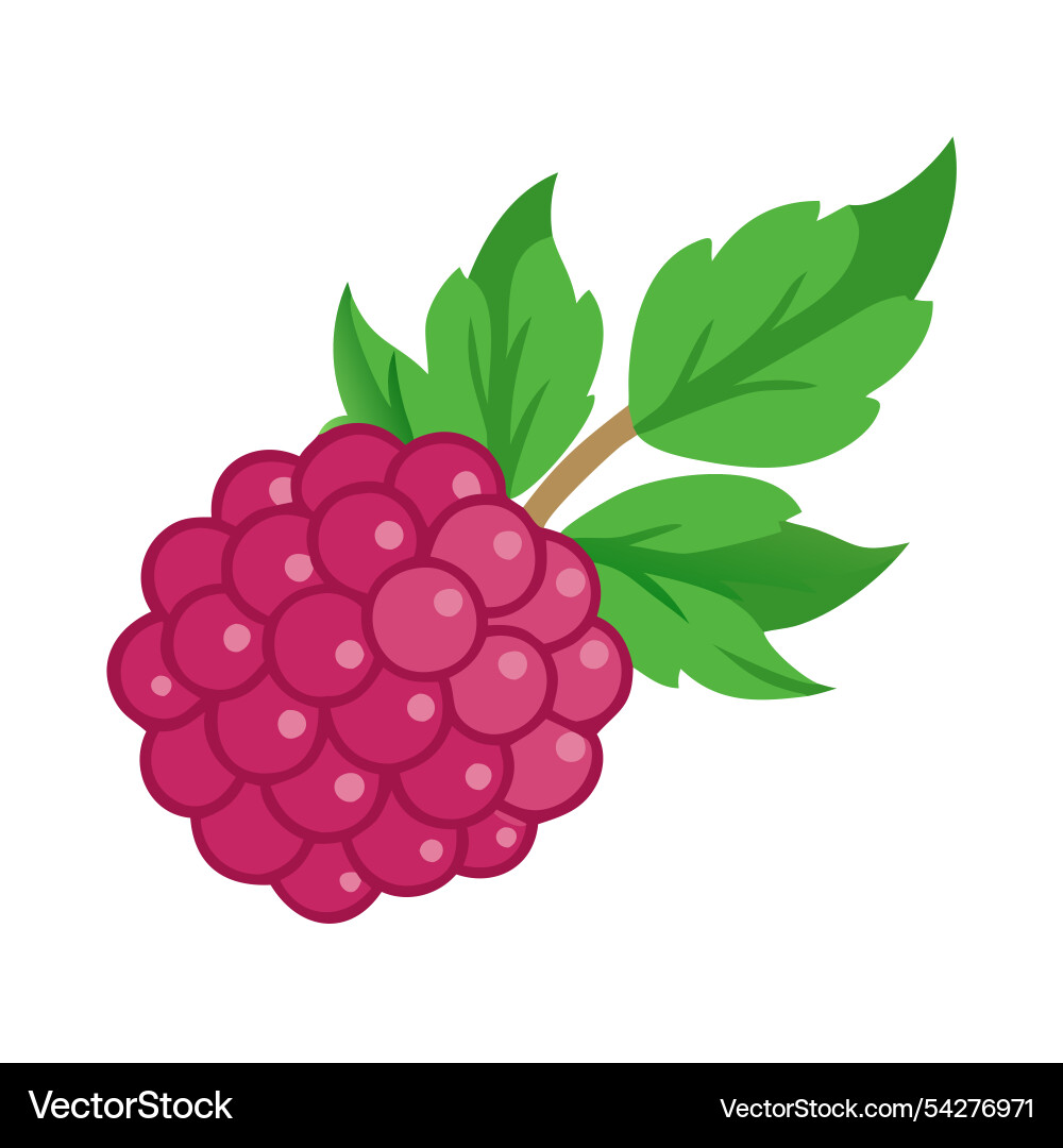 Arctic raspberry icon fruits Royalty Free Vector Image