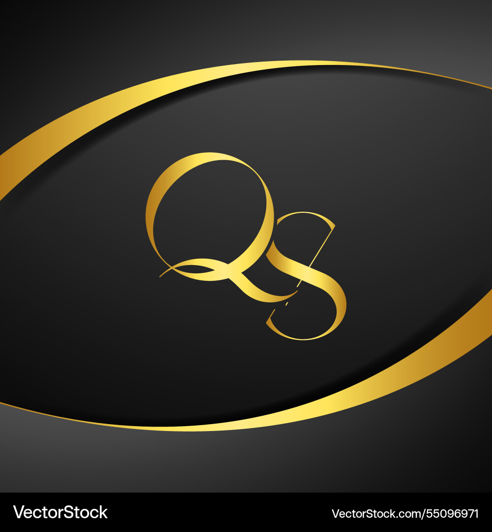 Qs luxury letter logo Royalty Free Vector Image