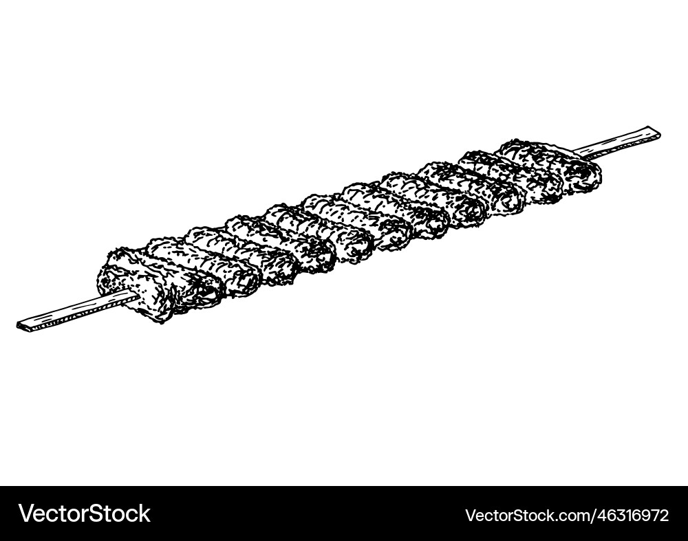 The traditional turkish kebab Royalty Free Vector Image
