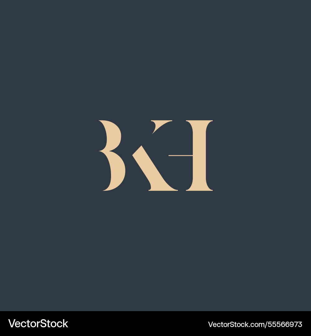 Bkh abstract letter logo Royalty Free Vector Image