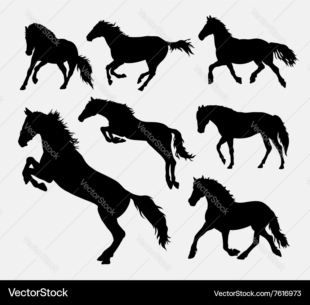 Horse jumping running walking action silhouette Vector Image