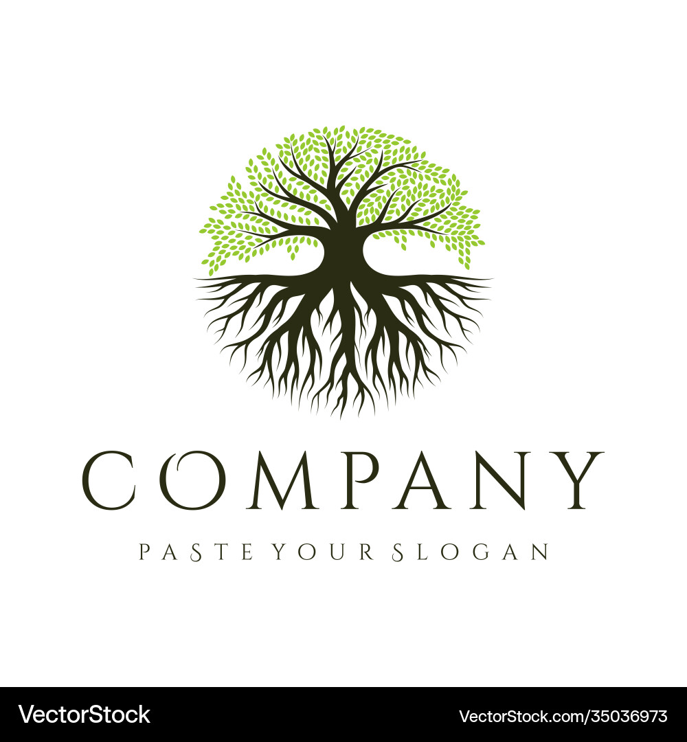 Oak tree logo design and root life Royalty Free Vector Image
