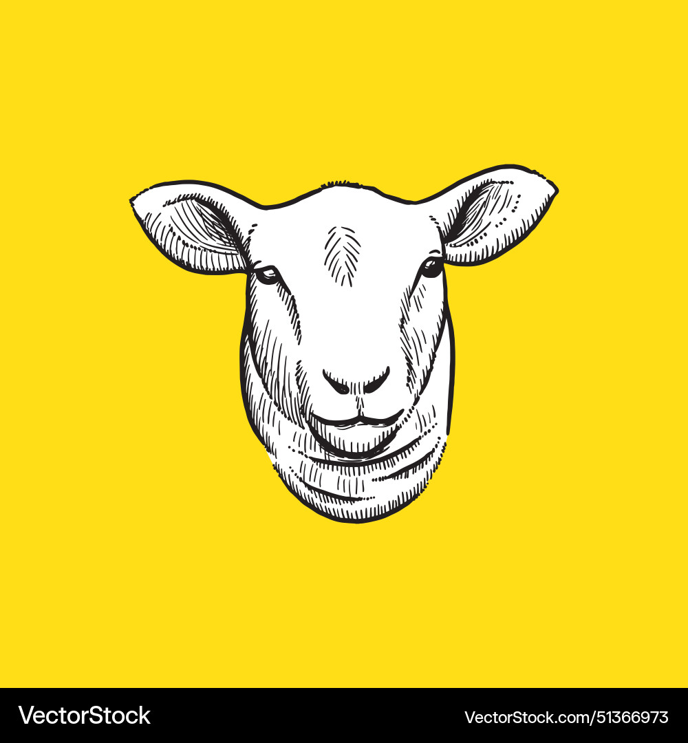 Sheep head from front sketch drawing style Vector Image