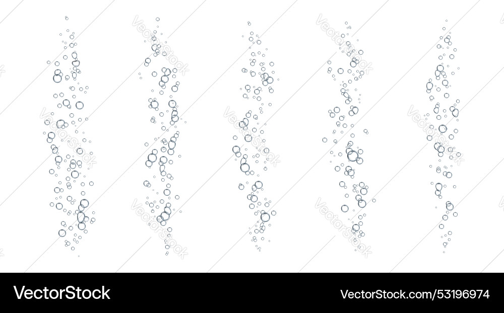 Fizz water soda drink bubbles rising upwards Vector Image