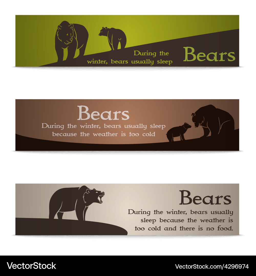 Set of bear banners Royalty Free Vector Image - VectorStock