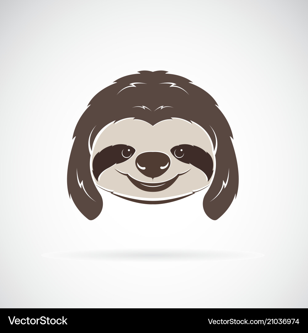 Sloth head on white background wild animals Vector Image