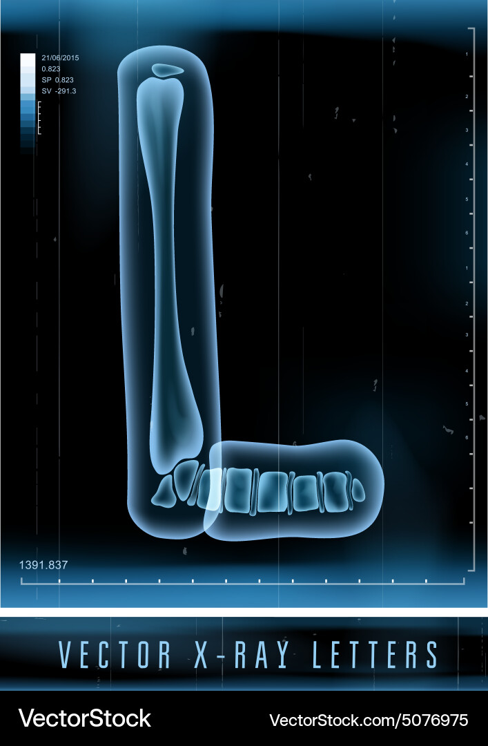 X-Ray Style Alphabet Vector Images (88)