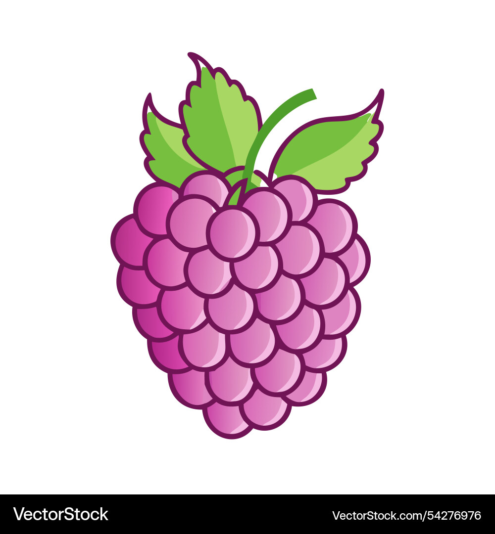 Arctic raspberry icon fruits Royalty Free Vector Image