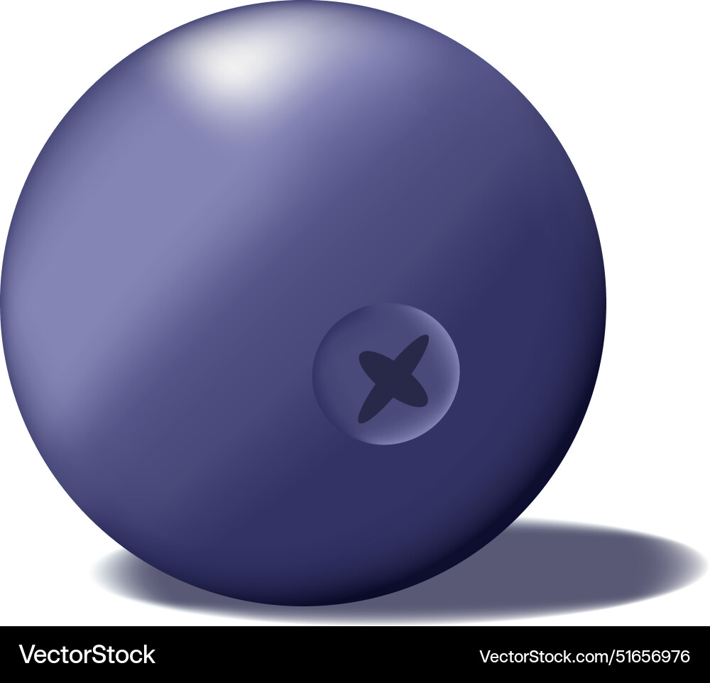 Blueberry Royalty Free Vector Image - VectorStock