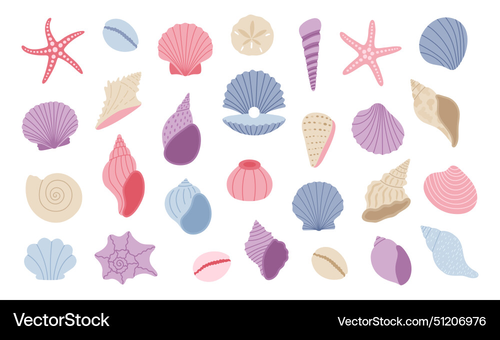 Cute seashell starfish clam sea shell set Vector Image