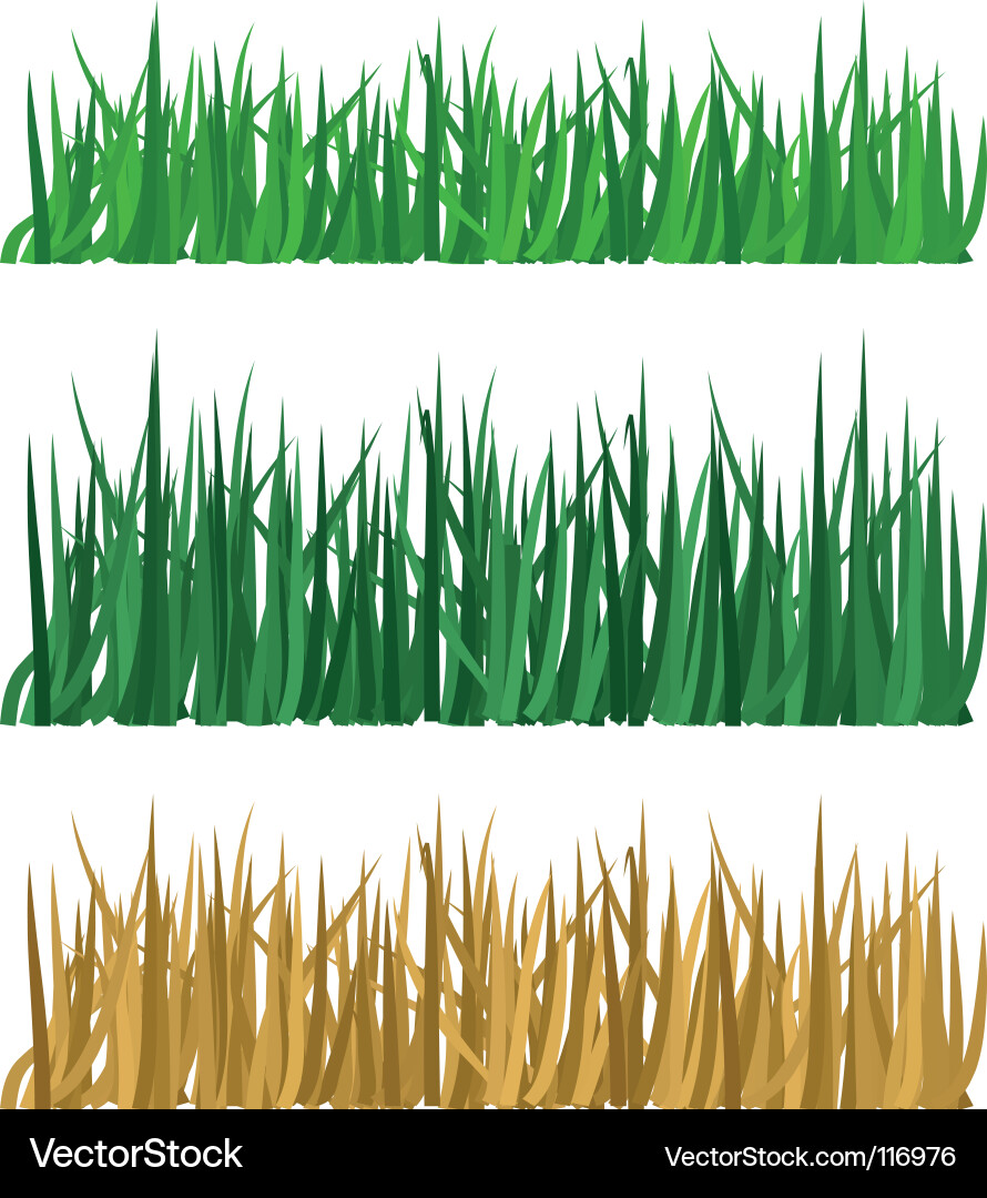 Grass Royalty Free Vector Image - VectorStock