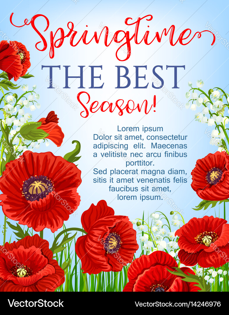 Springtime season poster blooming flowers Vector Image