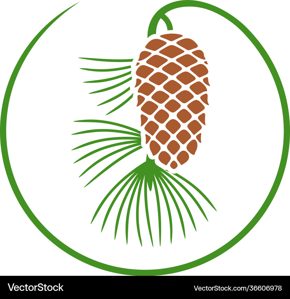 Cedar Royalty Free Vector Image - VectorStock