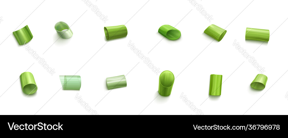 Chive cut slices green onion or garlic set Vector Image