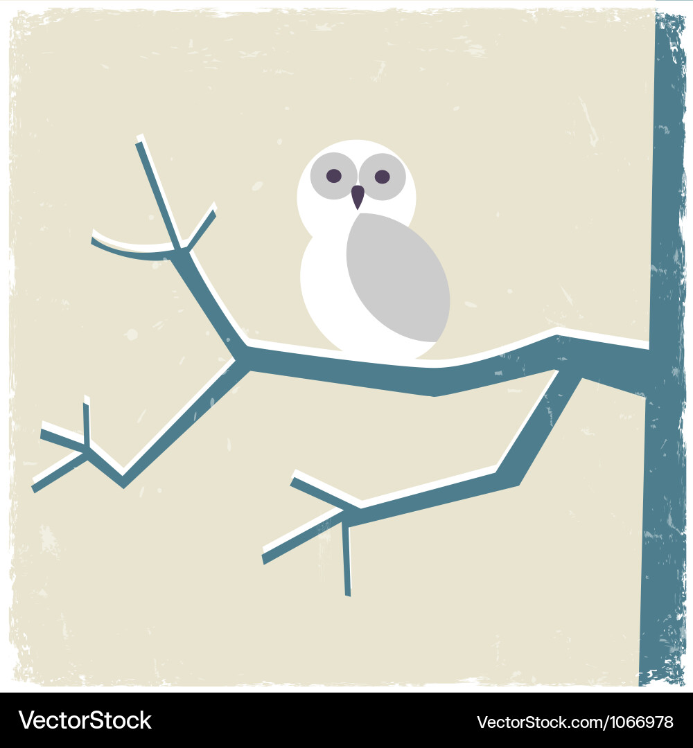 Snowy white owl Royalty Free Vector Image - VectorStock