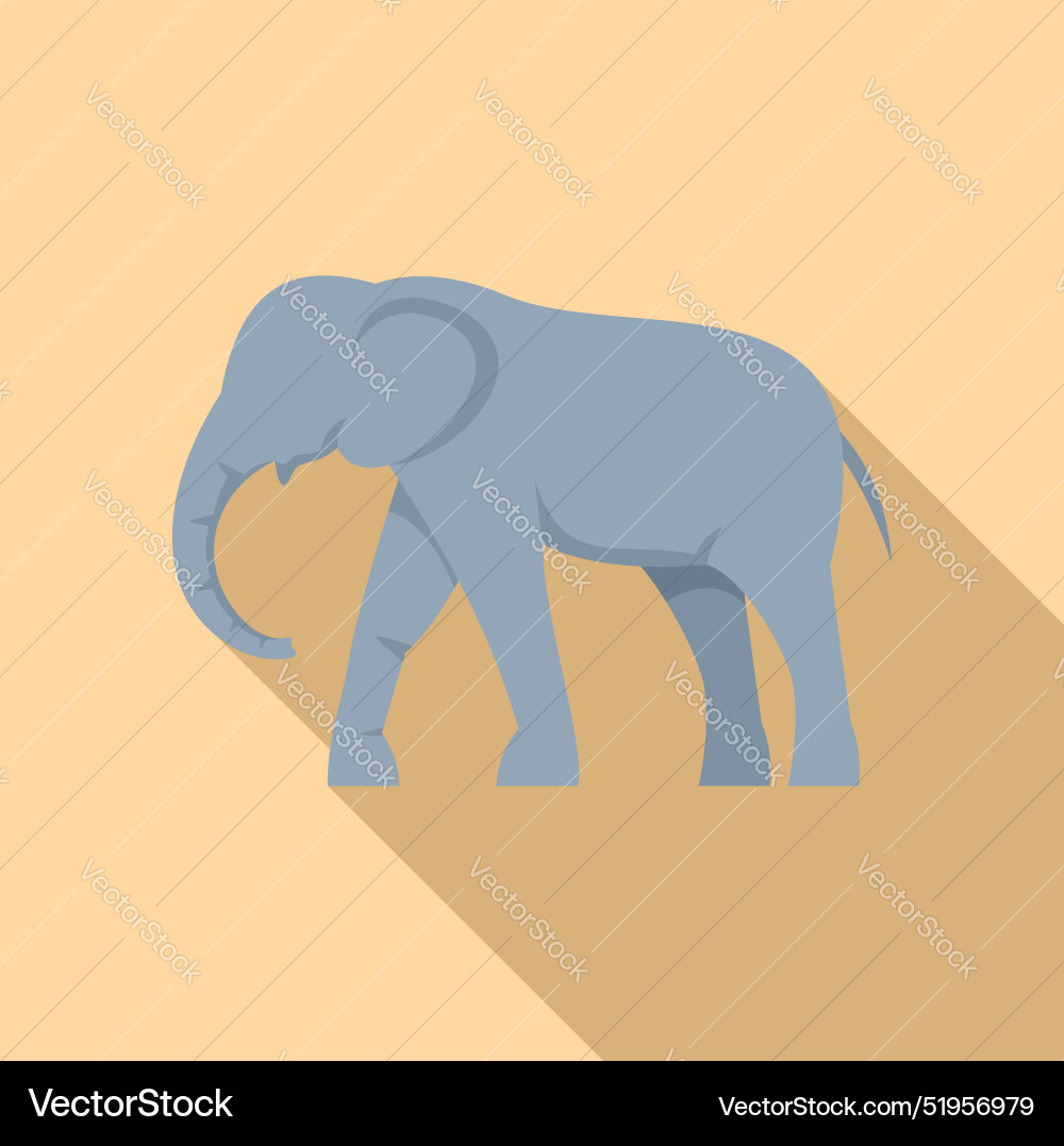 Big grey elephant walking with trunk down and long