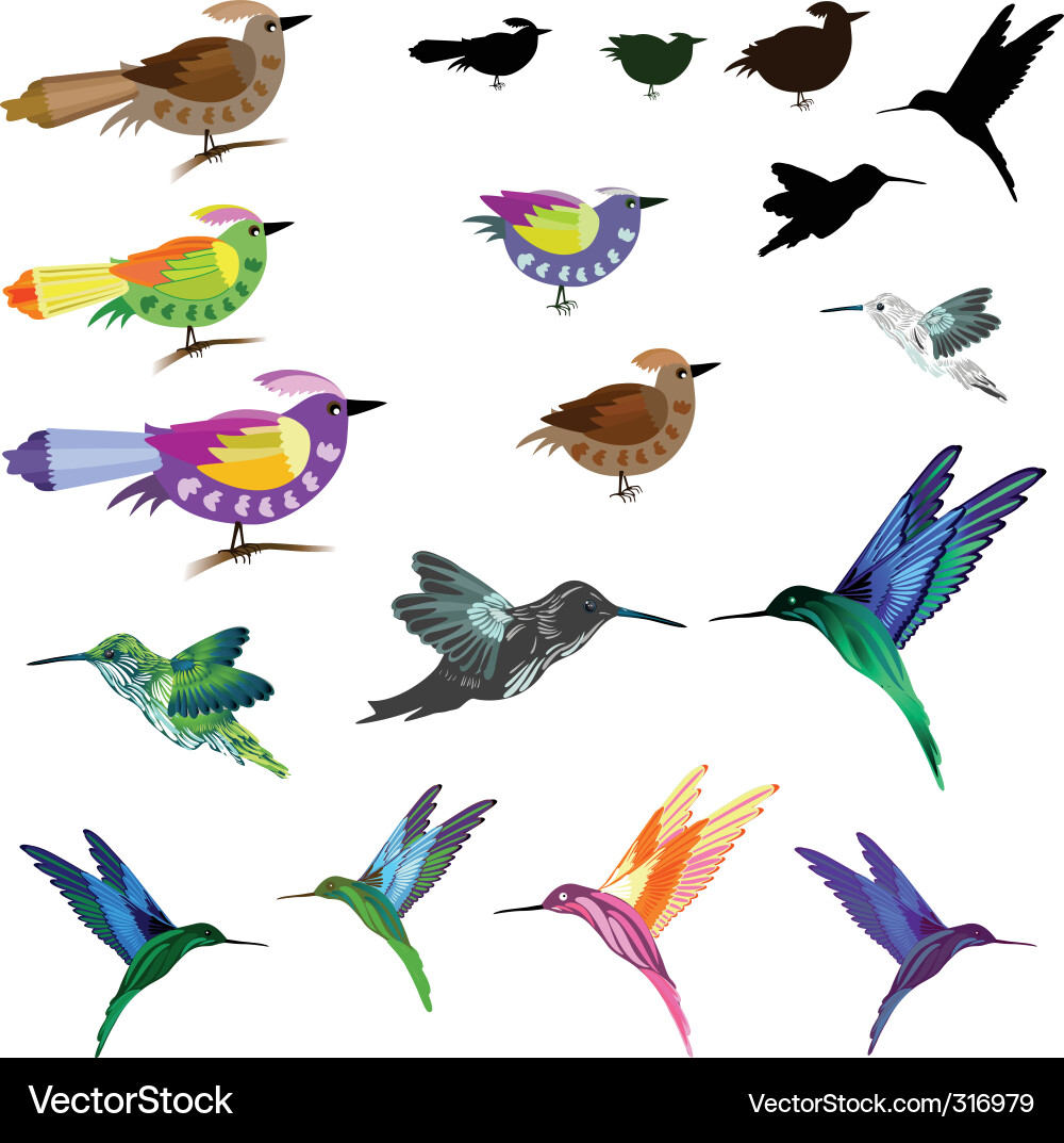 Birds set Royalty Free Vector Image - VectorStock