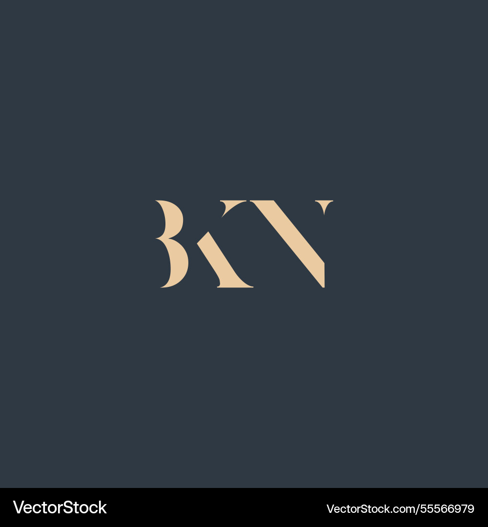 Bkn abstract letter logo Royalty Free Vector Image