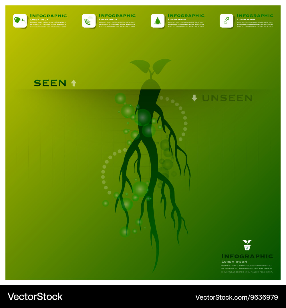 Tree and root infographic design template Vector Image