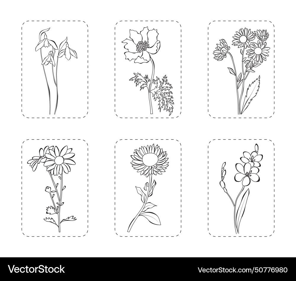 Set of 6 flowers Royalty Free Vector Image - VectorStock