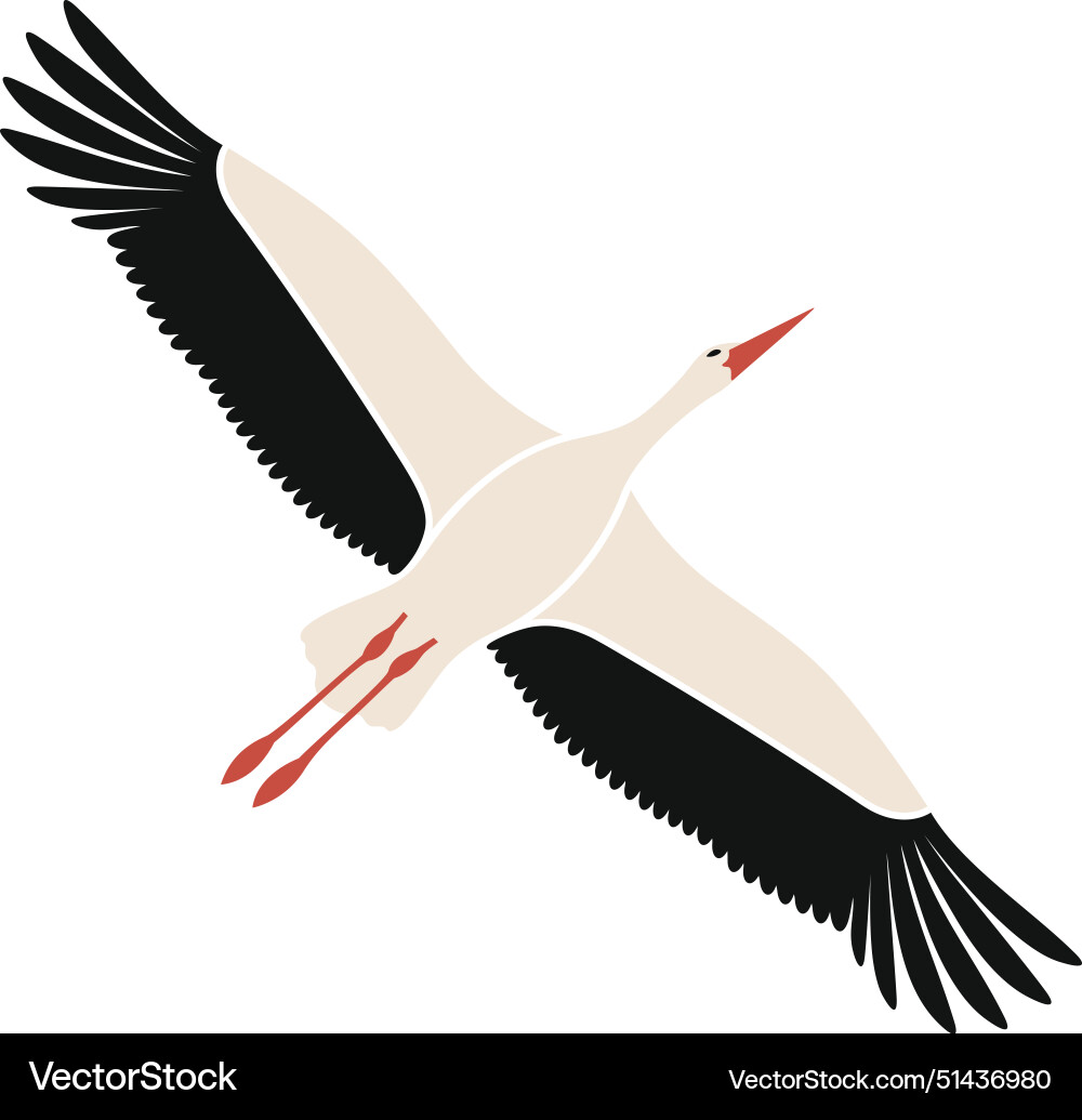 Stork Royalty Free Vector Image - VectorStock