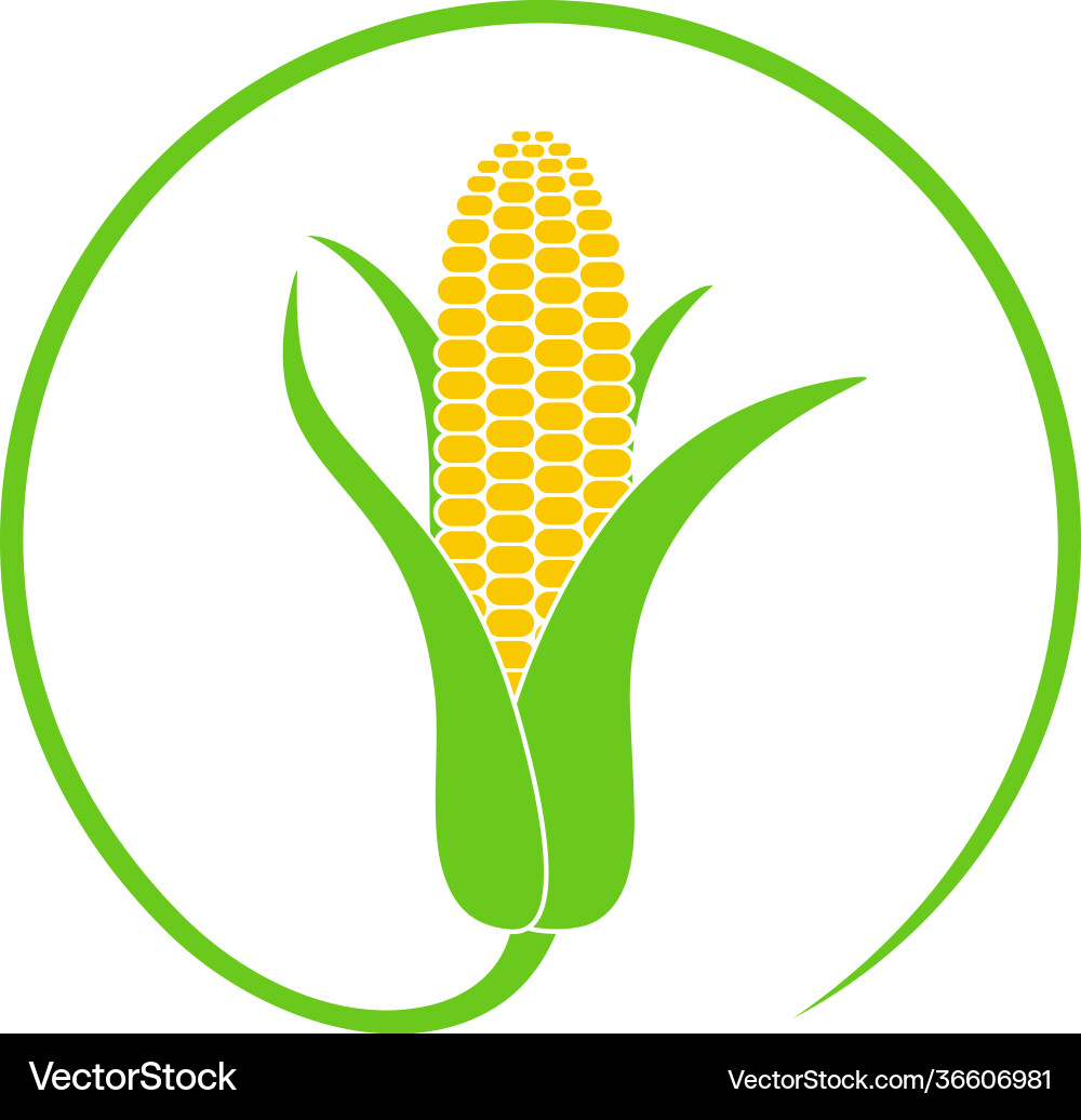 Corn logo Royalty Free Vector Image - VectorStock