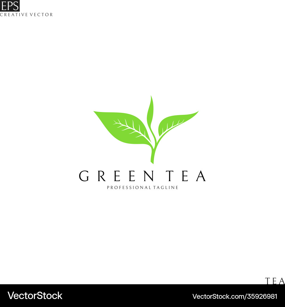 Green tea logo template Royalty Free Vector Image
