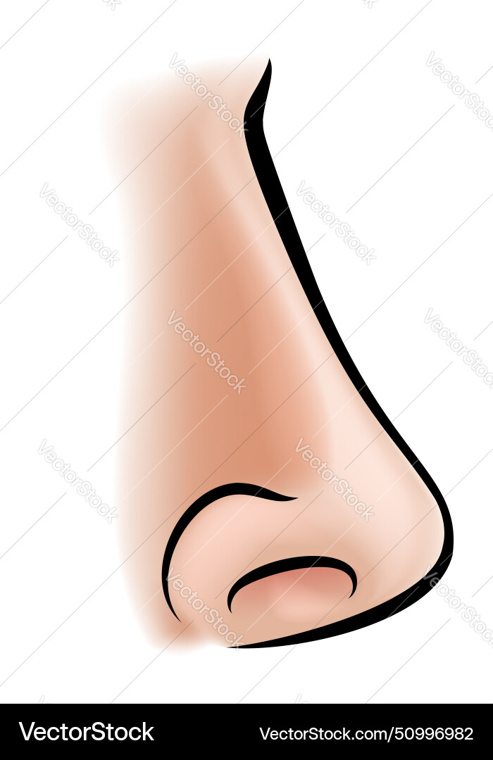 Nose body part Royalty Free Vector Image - VectorStock