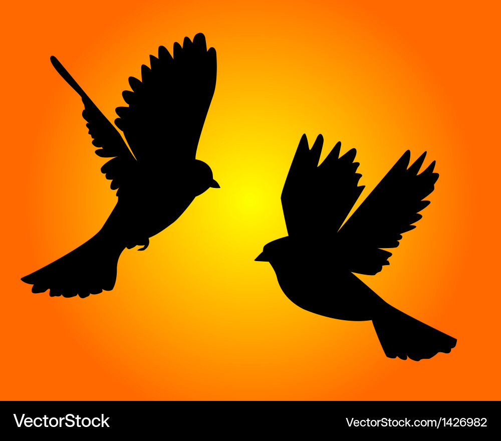 Two flying birds Royalty Free Vector Image - VectorStock