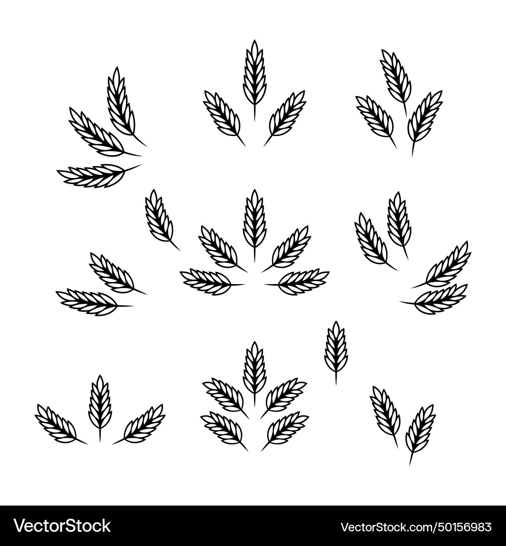 Flat agriculture wheat icon set isolated Vector Image