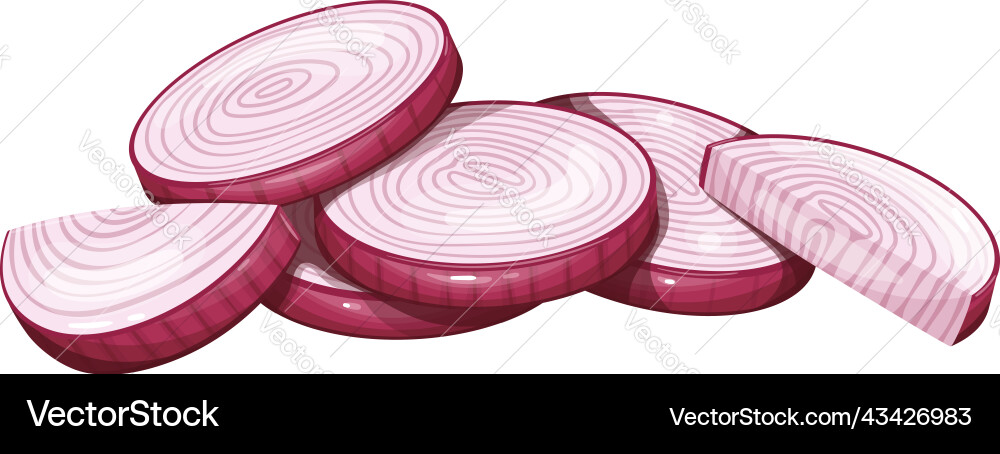 Slices of red onion Royalty Free Vector Image - VectorStock