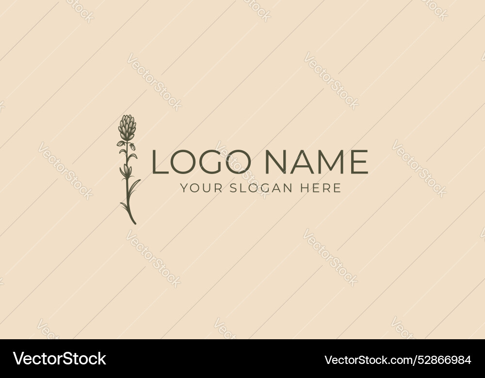 Logo protea flower floral botanical Royalty Free Vector