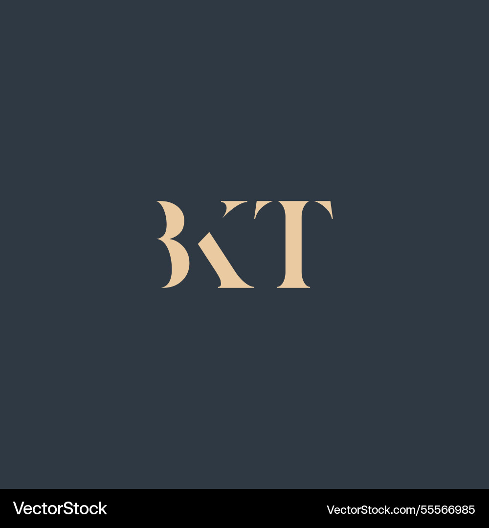 Bkt abstract letter logo Royalty Free Vector Image
