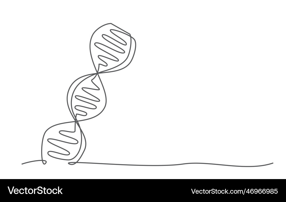 Dna one line drawing on white background Vector Image