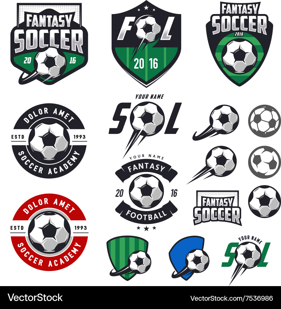 Set of soccer labels emblems and design elements Vector Image