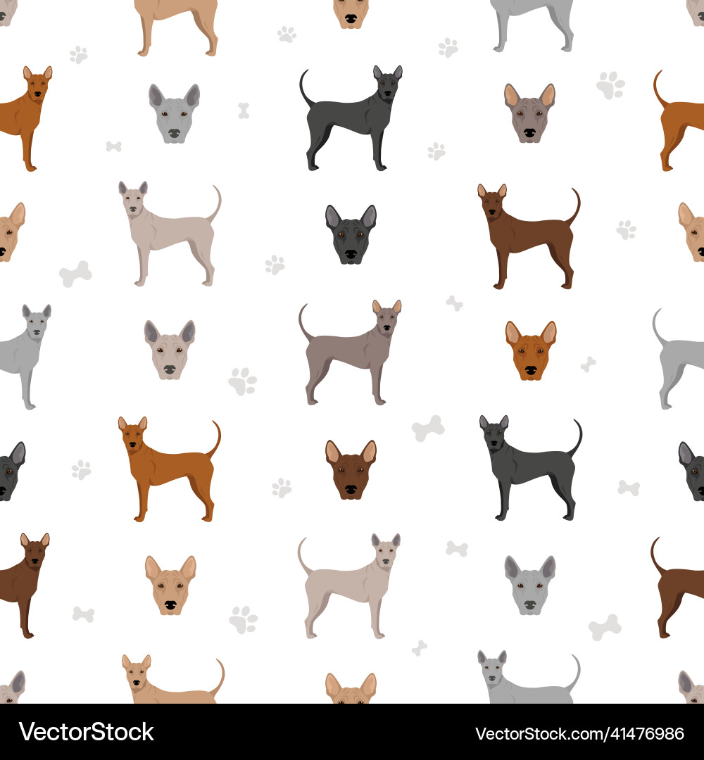 Thai ridgeback seamless pattern different poses Vector Image